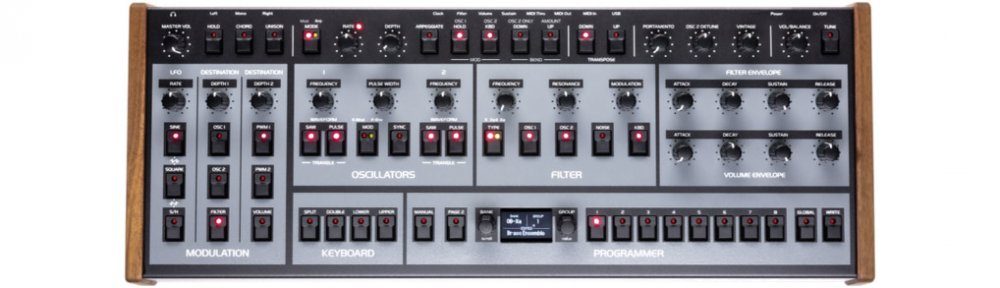 Buy OBERHEIM OB-X8 Module - Synths | Canada Authorized dealer – Studio ...
